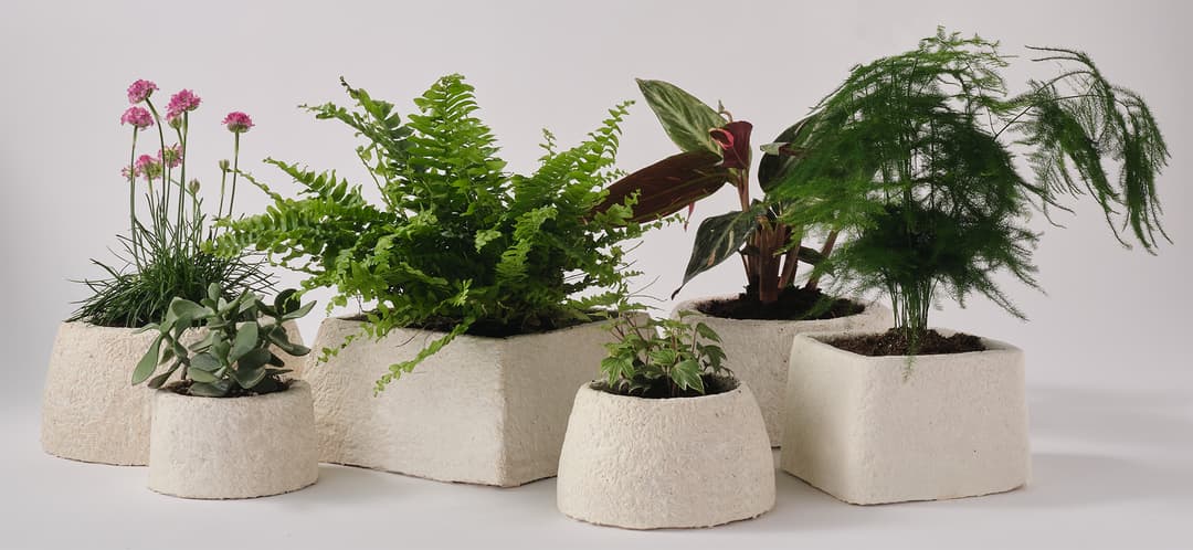 Mushroom® Packaging