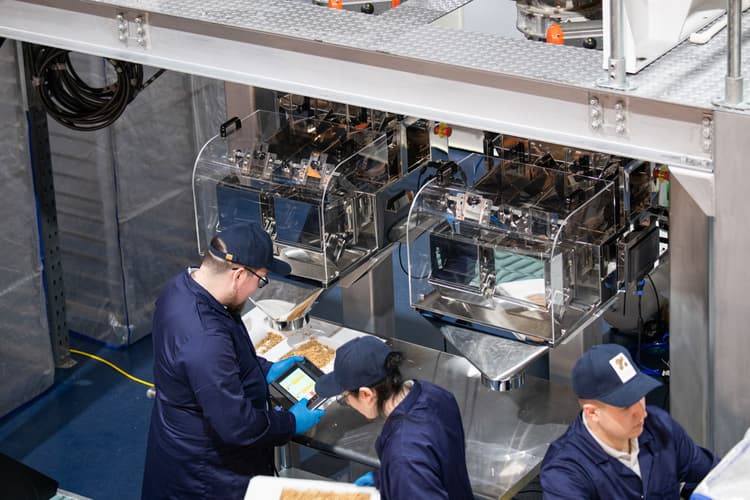 Home Page [magicalmushroom.com]