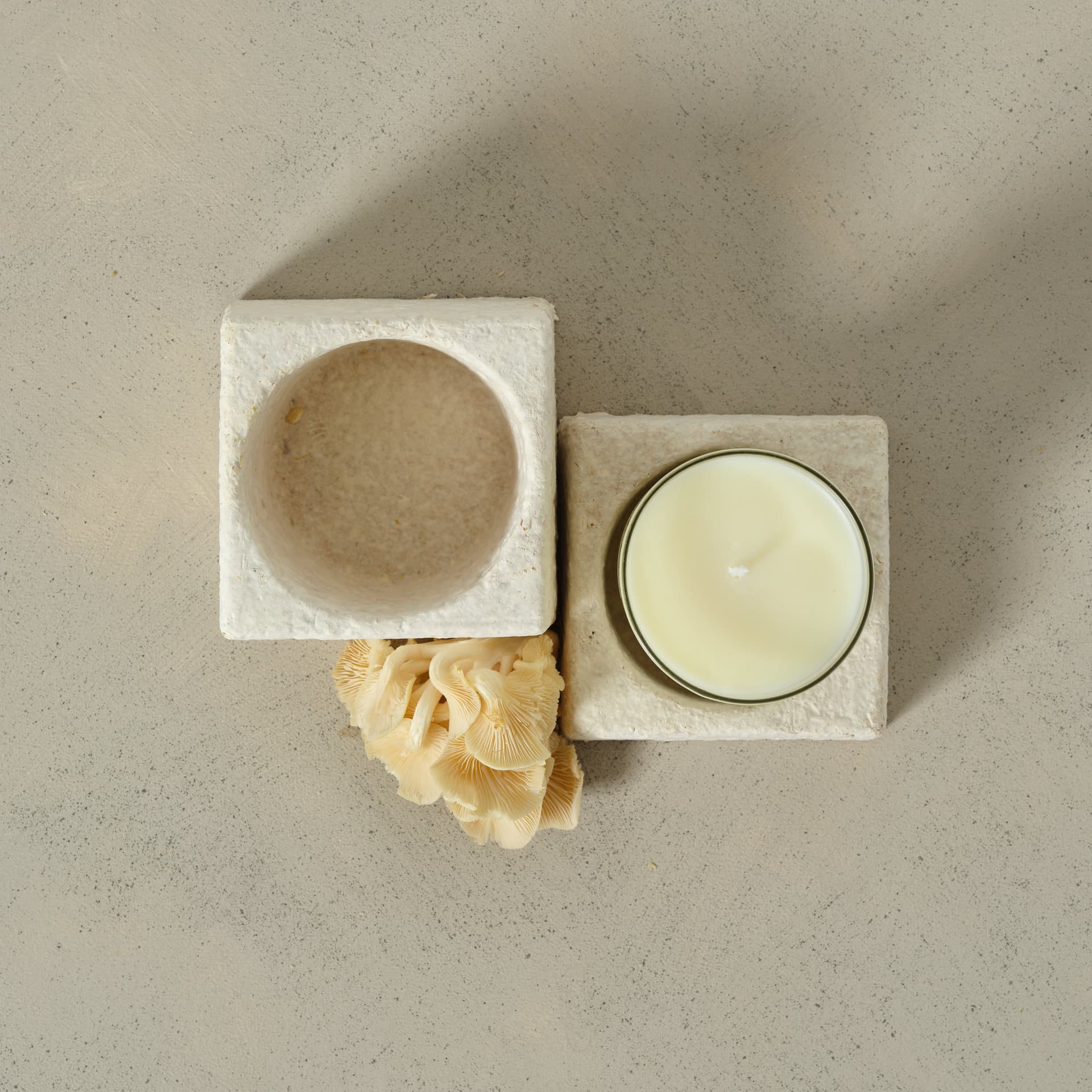 Mushroom® Packaging